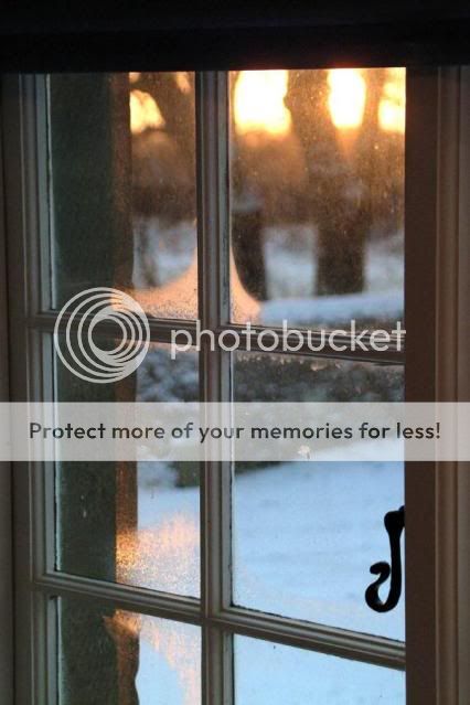 Monday Morning Poem: Tree at My Window | You're History!