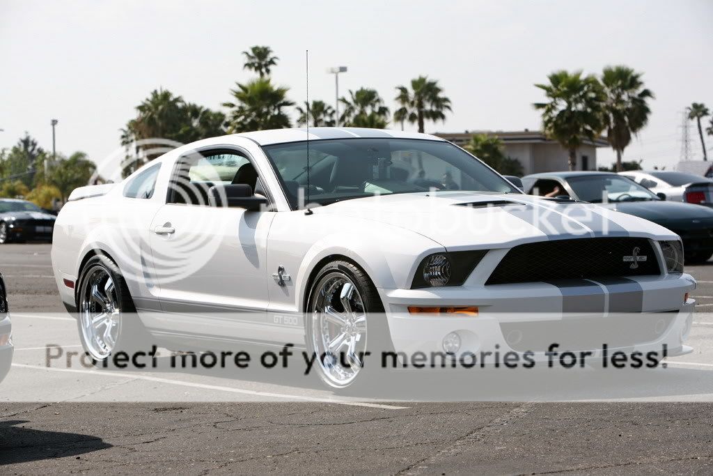 Razor Wheels on a GT500 | Ford Shelby GT500 Forum