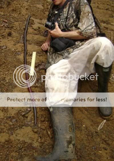 ELI5: How do mutations drive evolution? : r/explainlikeimfive