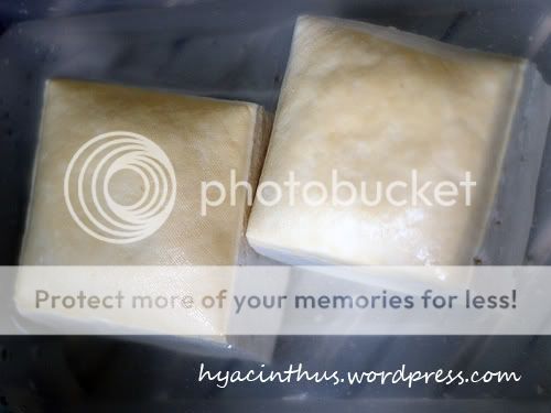 Why Soak Bean Curd in Water? | hya*cinthus™